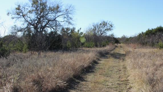 Texas agricultural land trust to host trail run near Granbury | Green ...